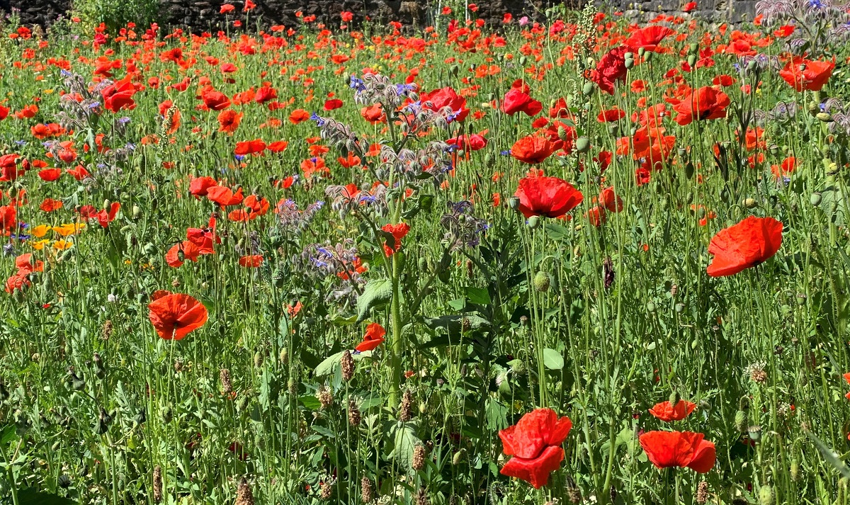 4. Ble ydyn ni nawr? | Chwaraeon Cymru